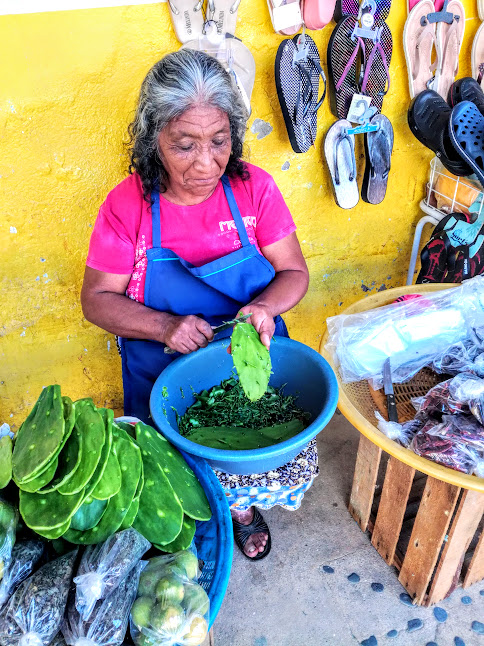 Mexico City; at the foot of the Teutli volcano runs the green “Gold” of ...