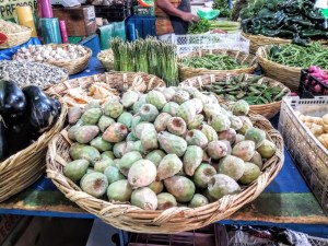Mexico City; at the foot of the Teutli volcano runs the green “Gold” of ...
